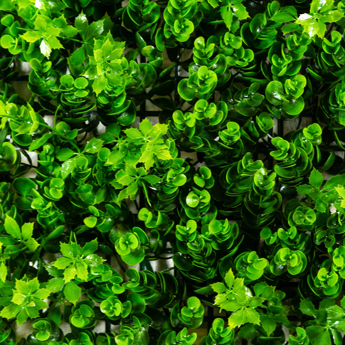 Jade Style Artificial Living Wall | Cascade Greenery
